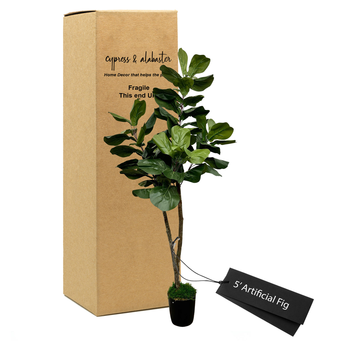 5' Artificial Natural Fig Tree – Cypress and Alabaster